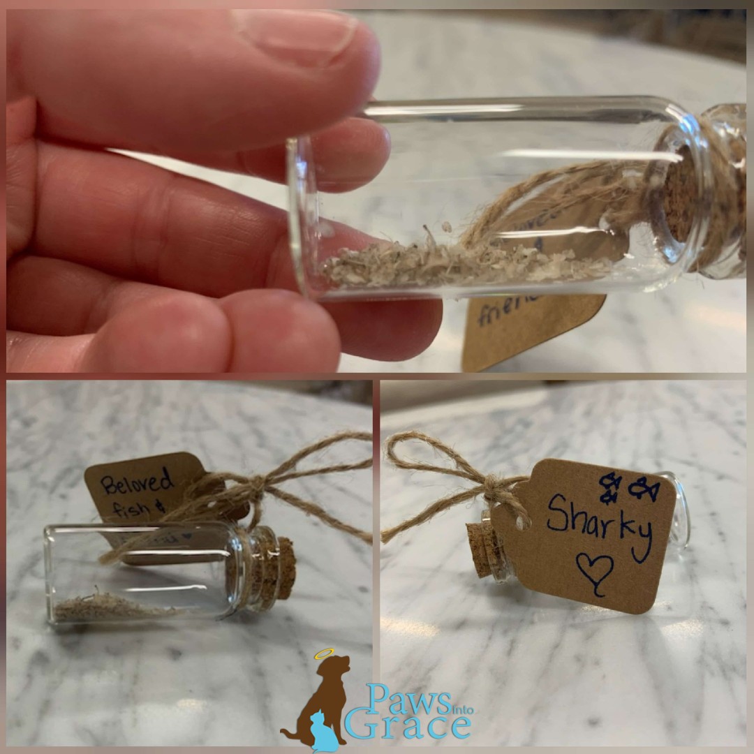 Aquamation: The Gentler Alternative | Paws Into Grace