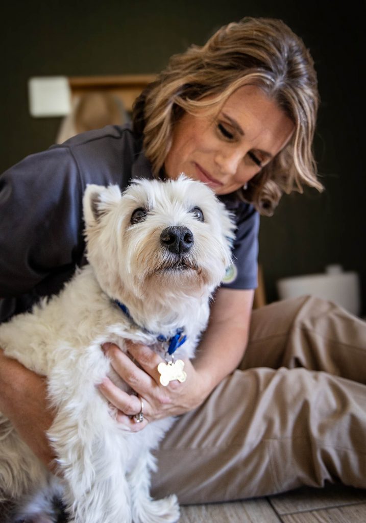 Dog Euthanasia: When Is It Time? | Paws Into Grace