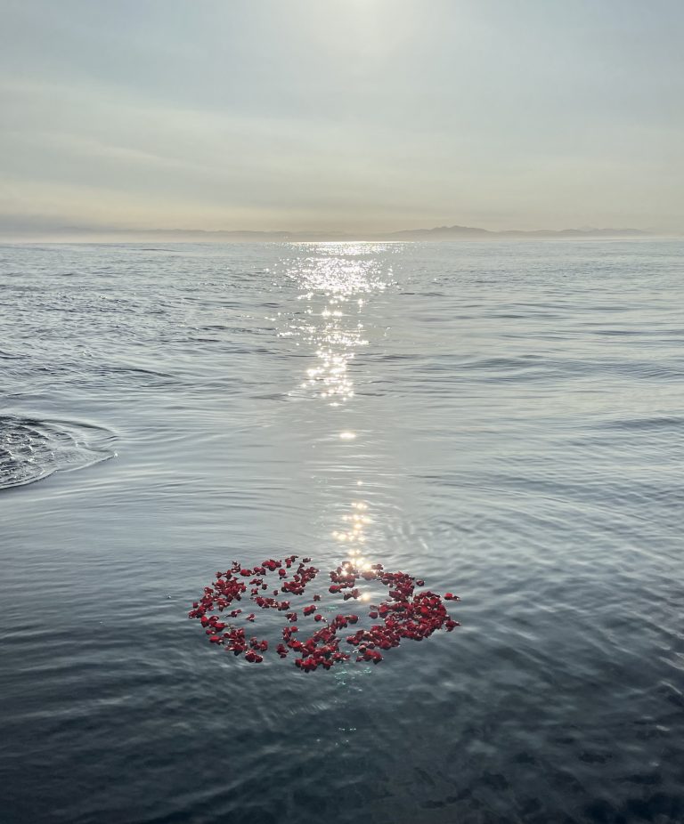 What Is Communal Pet Cremation? | Paws Into Grace