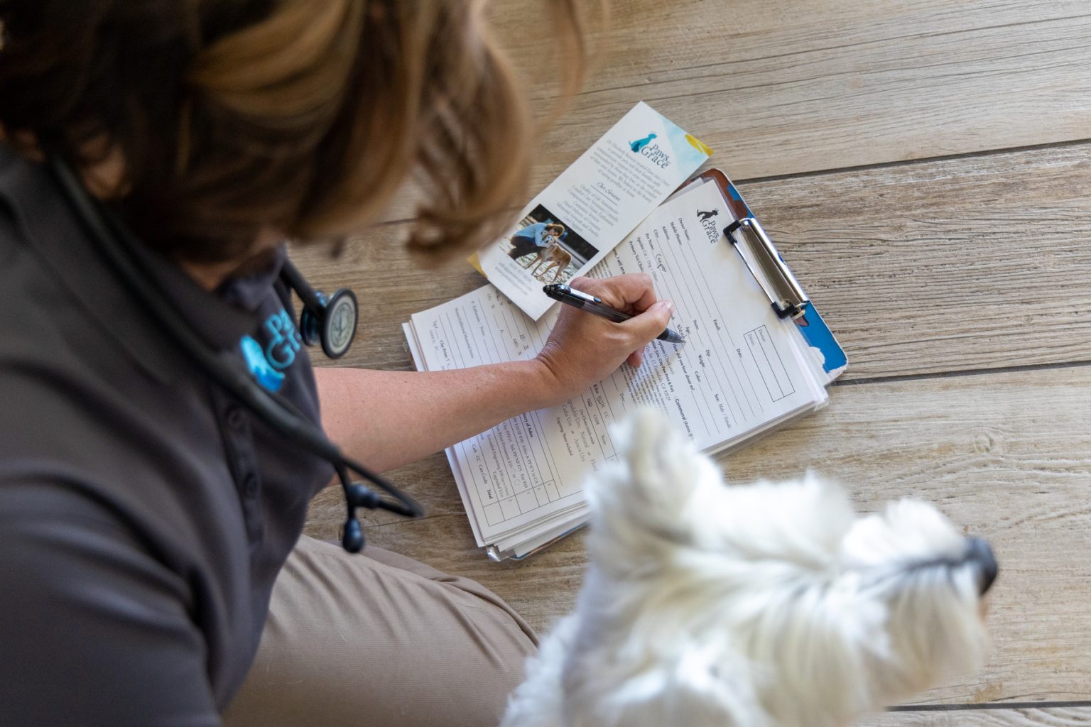 Is Dog Euthanasia Painful? | Paws Into Grace