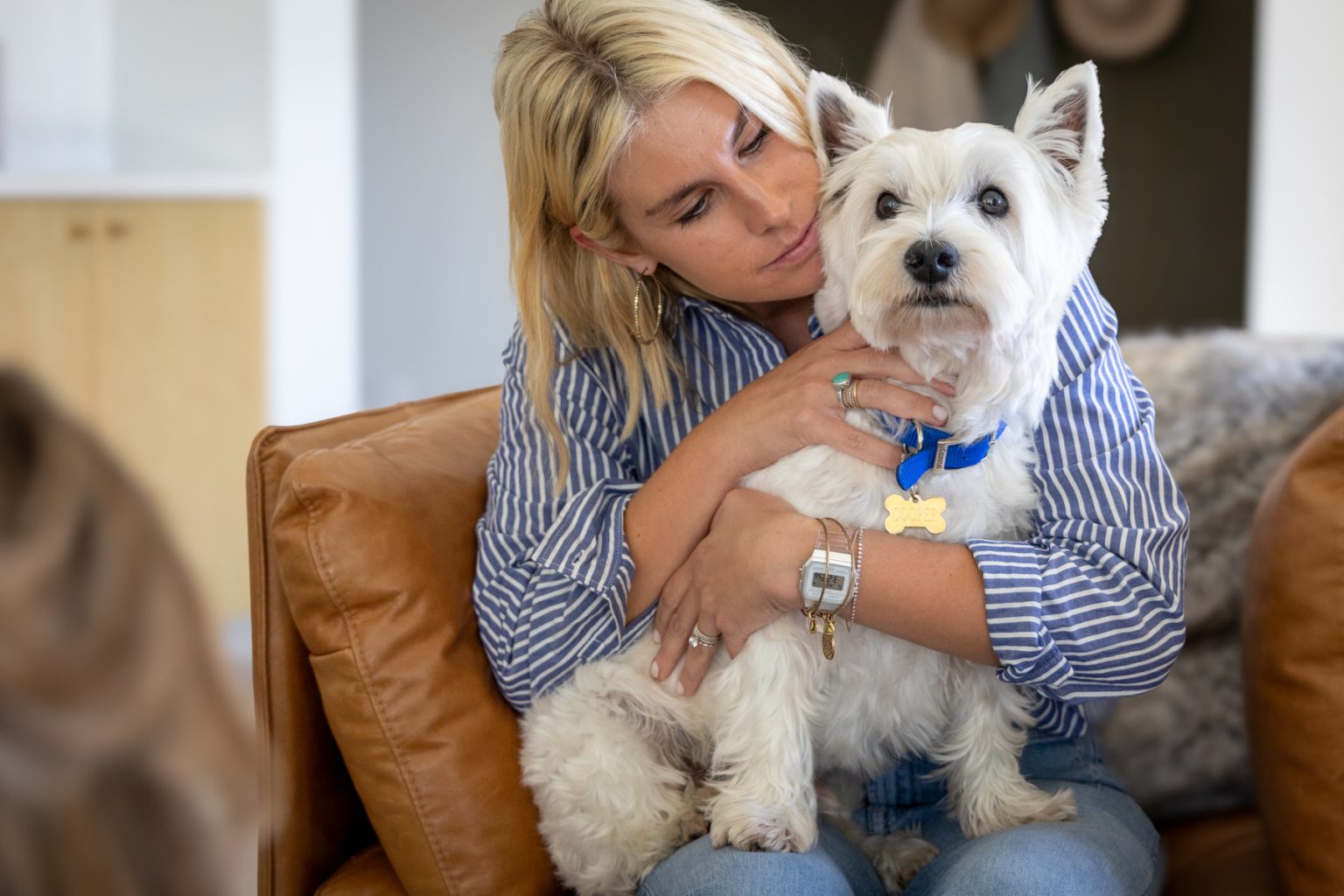 Is Dog Euthanasia Painful? | Paws Into Grace