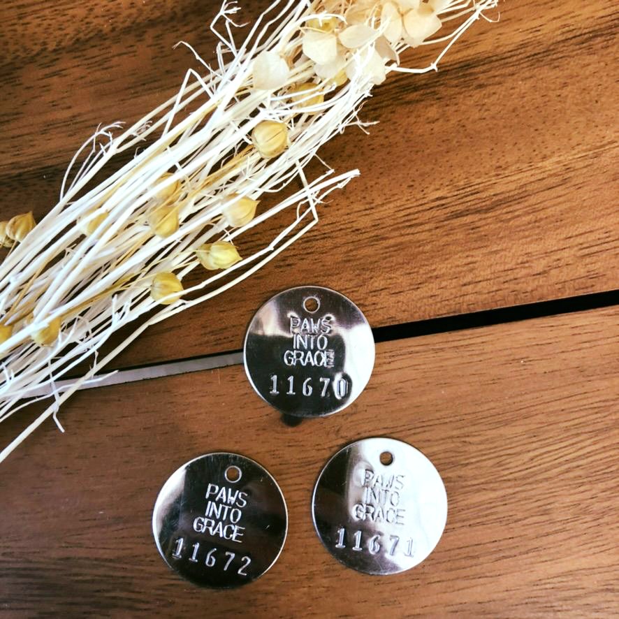 Do You Really Get Your Pet's Ashes Back? | Paws Into Grace