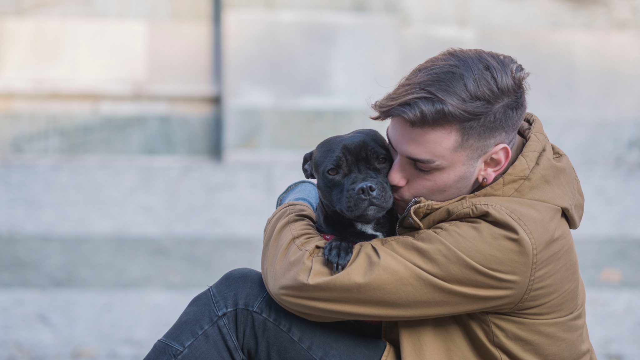 When to Euthanize a Dog With Degenerative Myelopathy | Paws Into Grace