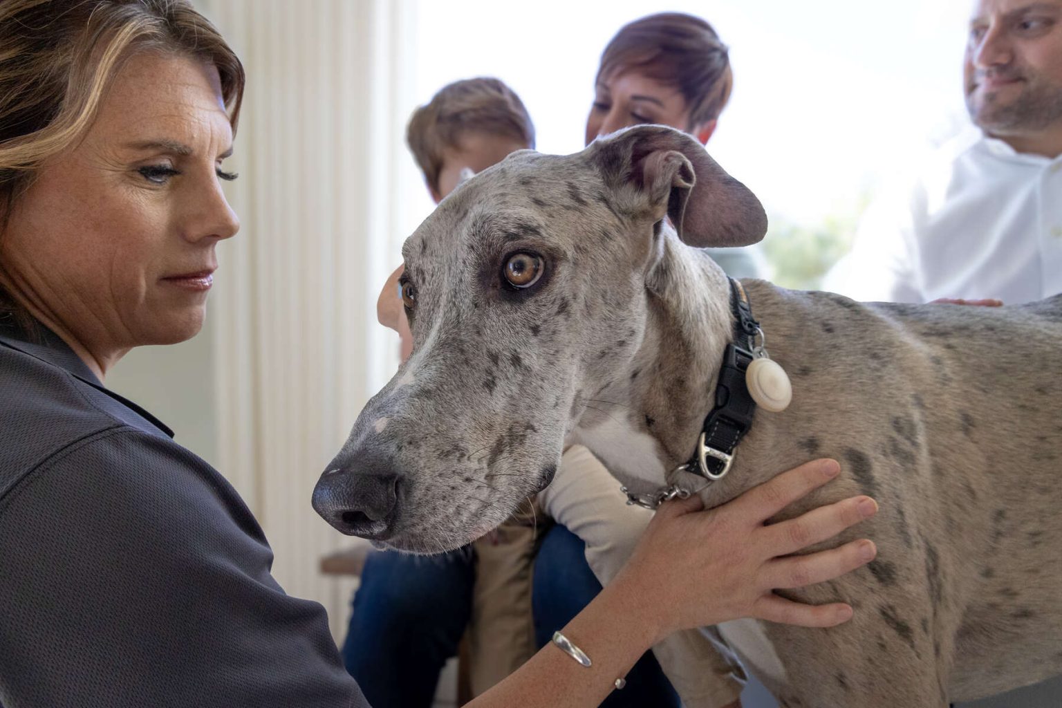 End-of-Life Behavior in Dogs: What’s Normal vs. What’s Not | Paws Into ...